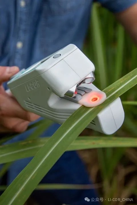 新闻资讯 | LI-COR
