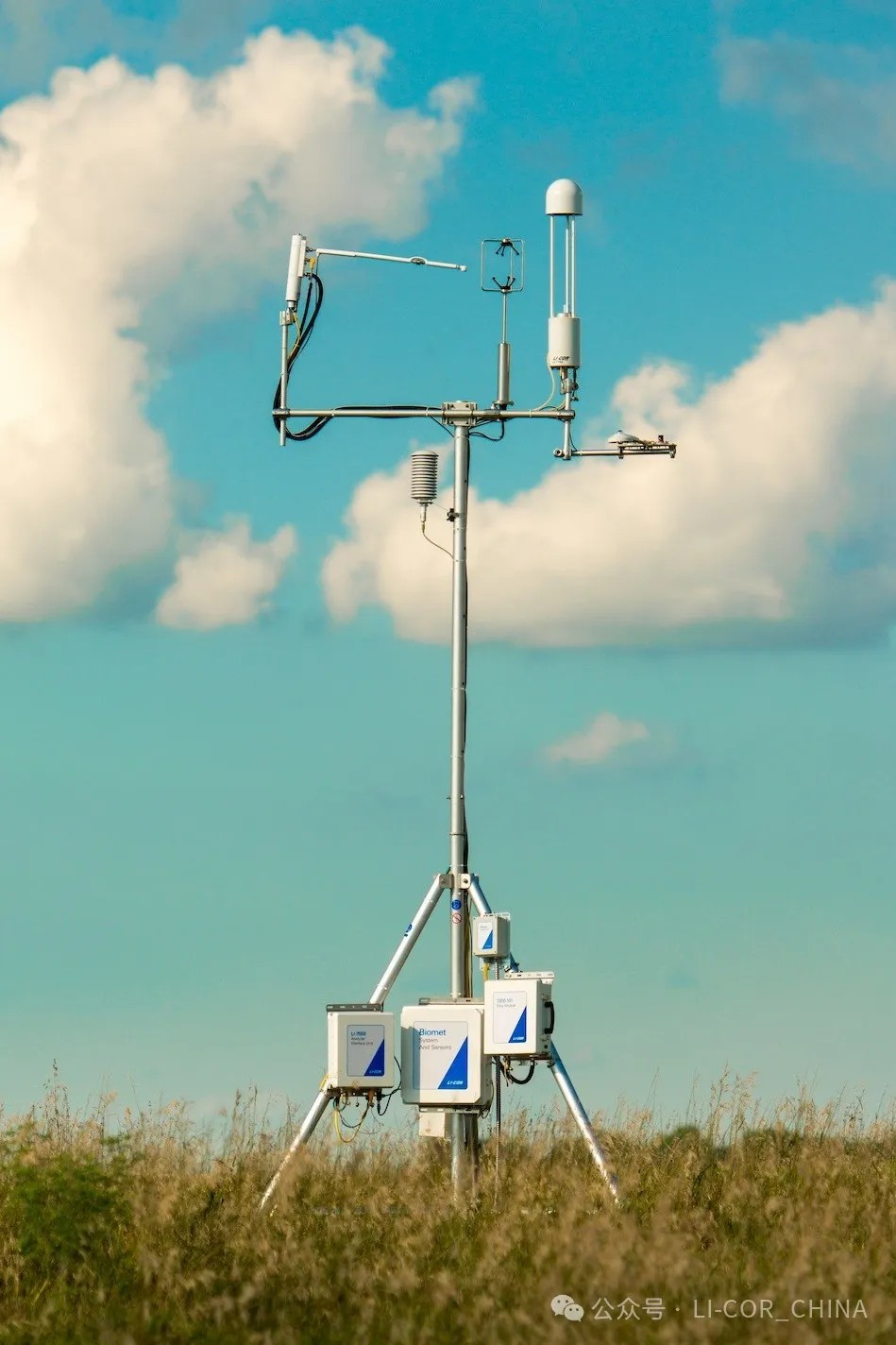 新闻资讯 | LI-COR